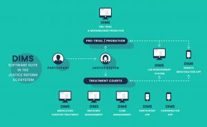 Why Dims – Drug Court Information Management System