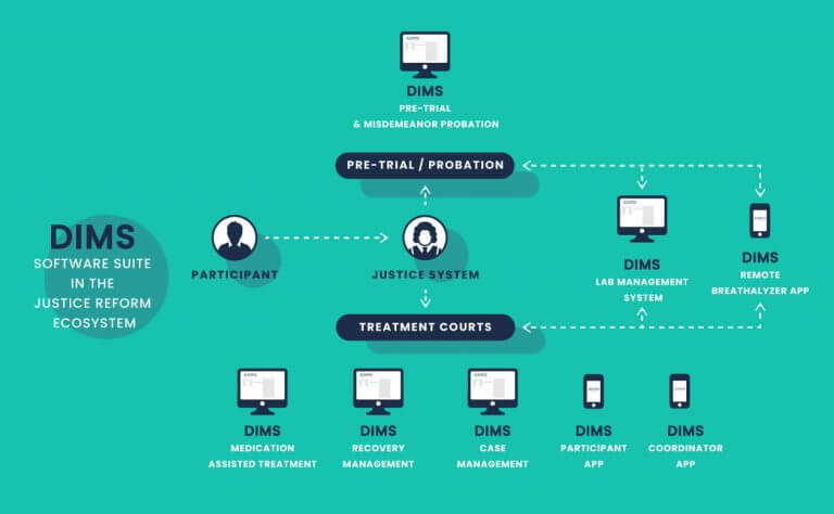 Why Dims – Drug Court Information Management System